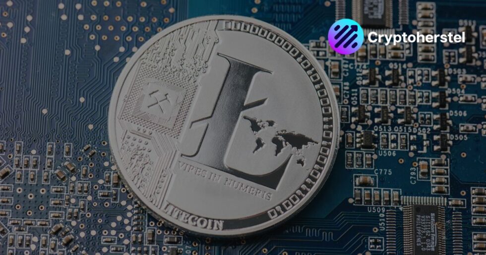 Litecoin wallet recovery - How to get my LTC back? Easy & Safe